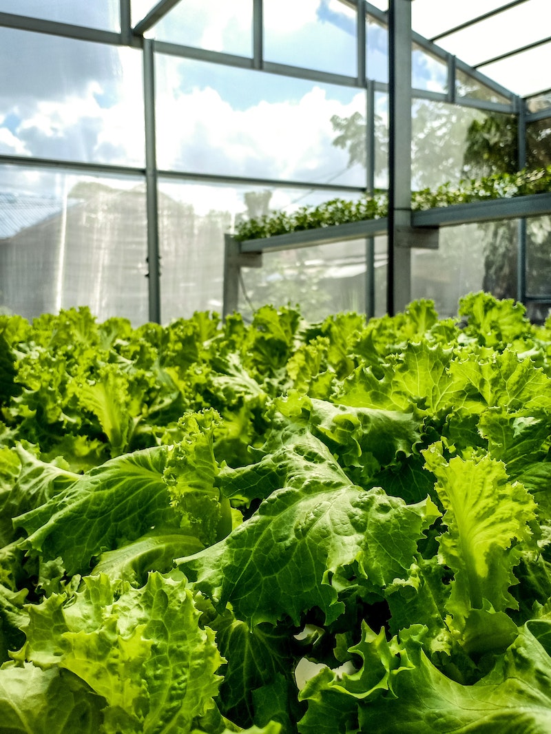 Future Food Americas - Future Food Institute