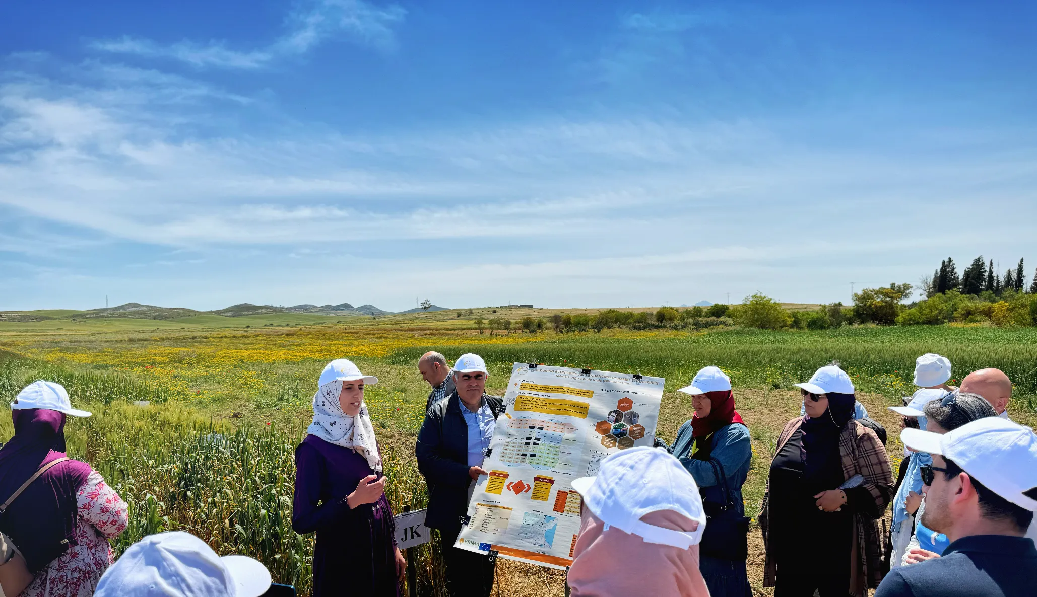 Enhancing Cereal Resilience and Global Food Security Through Innovation ...